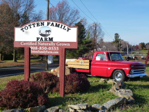 Jet Pump Installation in Washington Township, NJ - Lakeland Water Pump Co.